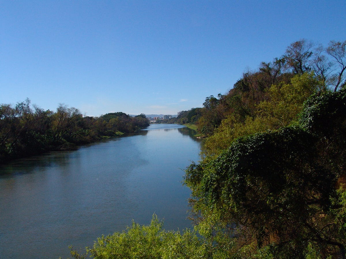 Rio Tubarão — Da serra ao mar. O gigante e imponente Rio Tubarão nasce ...