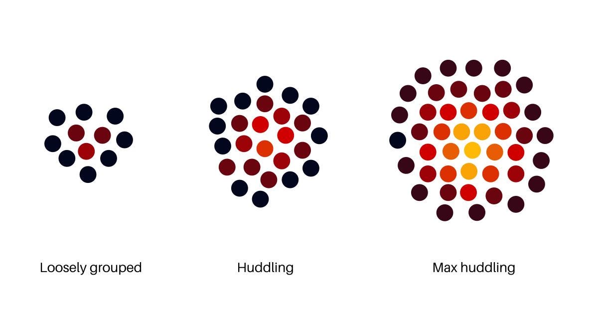 How Huddle.Finance will grow with a unique distribution and real DeFi ...