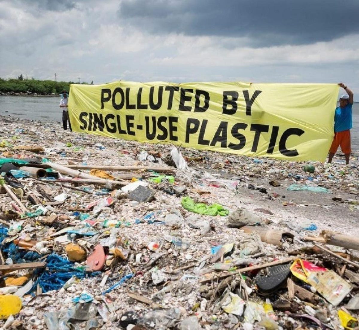 The impact of plastic pollution. Plastic pollution | by abubakrrana ...