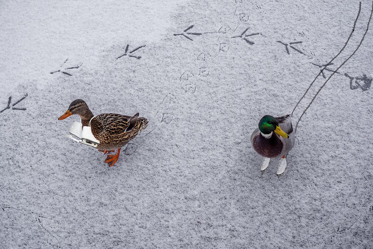 Skating on Thin Ice!. I have been playing hooky from the… | by Jaye ...
