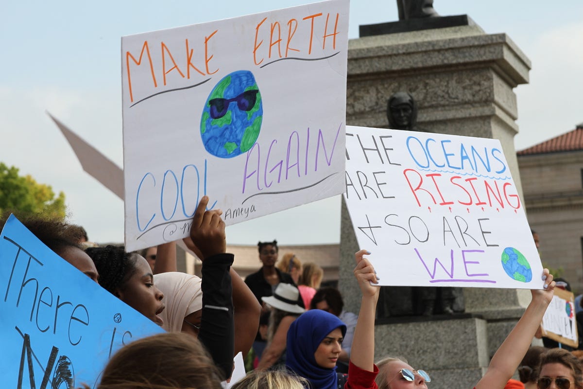 Conservation, Justice, and Democracy: Now is the Time to Stand Up | by ...