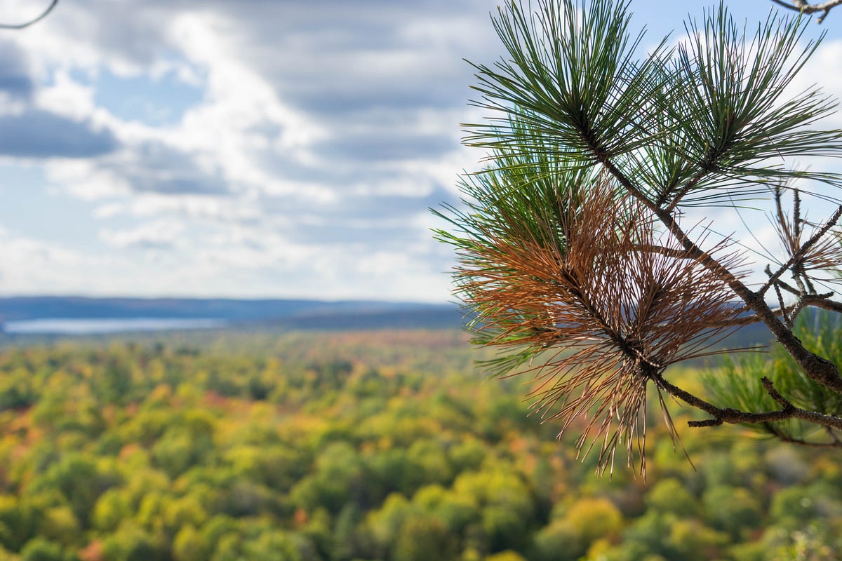 Langchain Memory 技術 — 打造不失憶的ai聊天助理 1 By Sean Yeh 玩轉 Python：ai × Coding × 自動化 Python