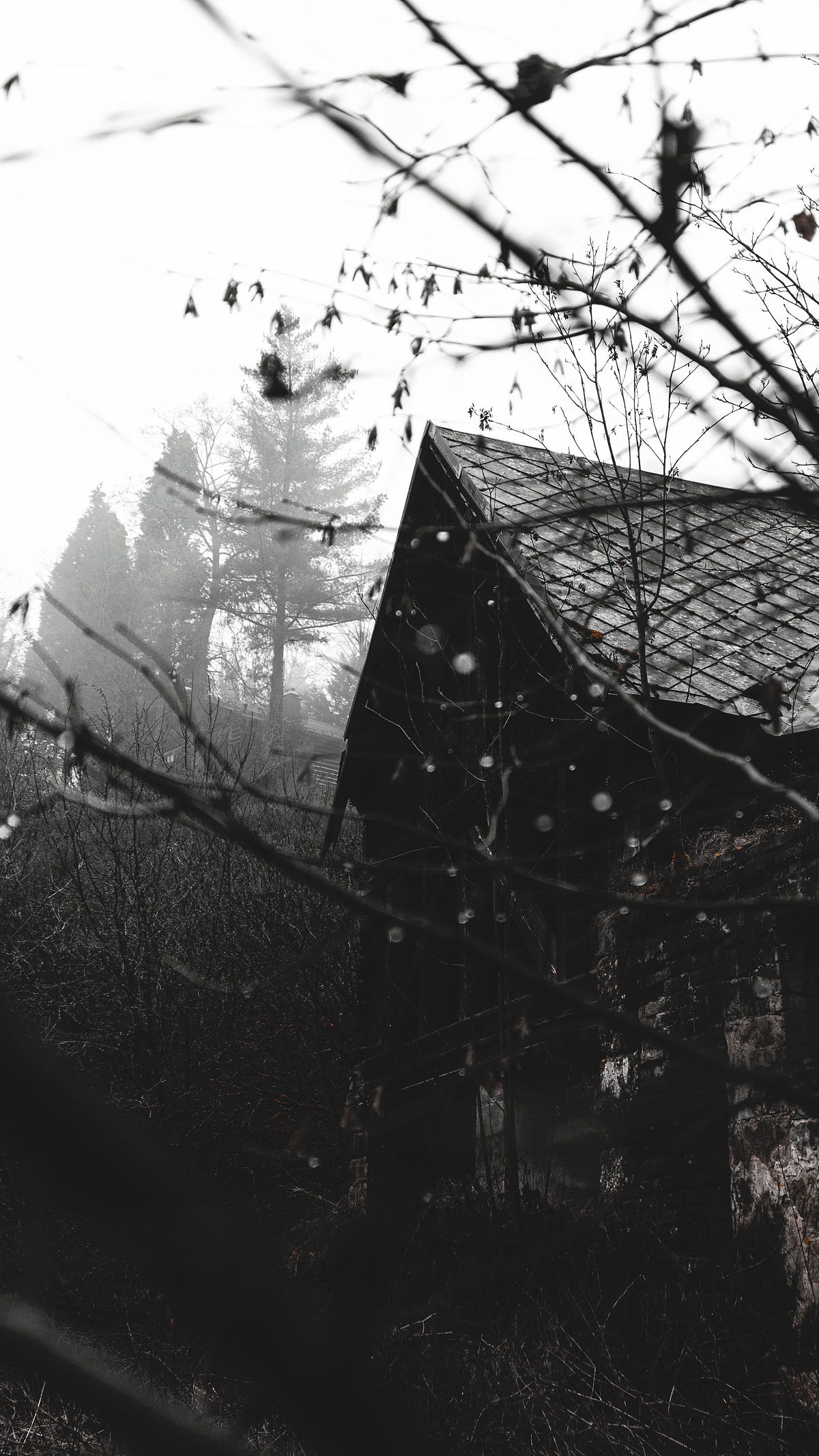 The Condemned House at the end of the Road | by The Feral Christian ...