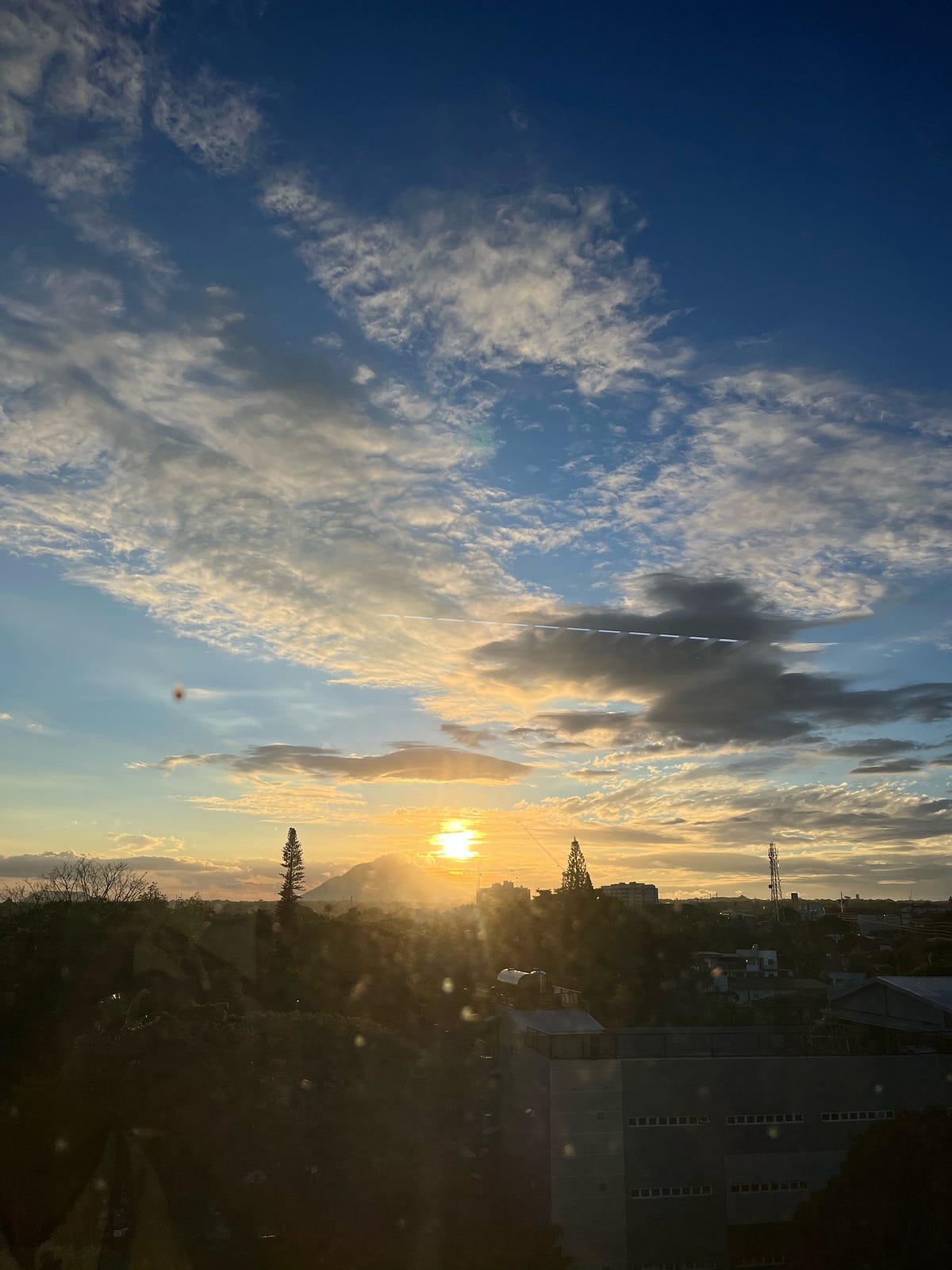 Infatuation? - evergreen - Medium