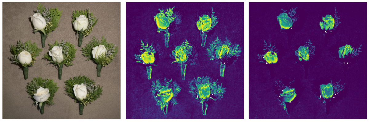 Image Segmentation (Part 2). RG Chromaticity | by Ralph Caubalejo | TDS ...