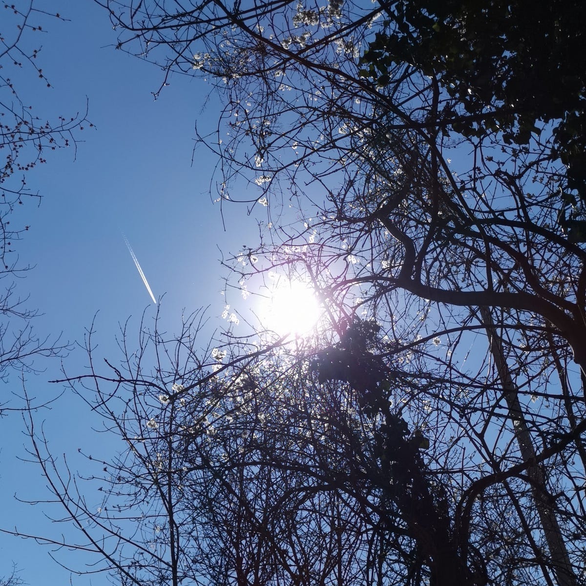 failed little moment stumbled for a second held my breath, moved closer ...