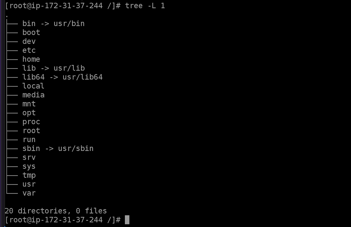 Linux Directory Structure. in this article we will see , | by ravindra ...