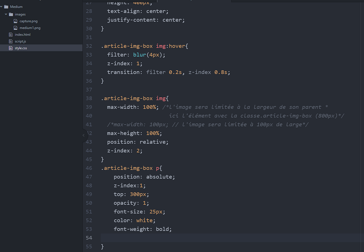 La fonction blur() en CSS . - Boris Rose - Medium