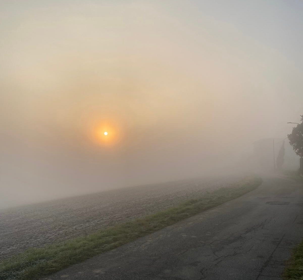 As not much is happening in foggy Italy, I felt inspired to write a ...