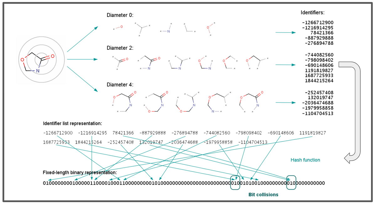 From Theory to Code: A Deep Dive into Molecular Extended-Connectivity Fingerprints (ECFPs) with ...