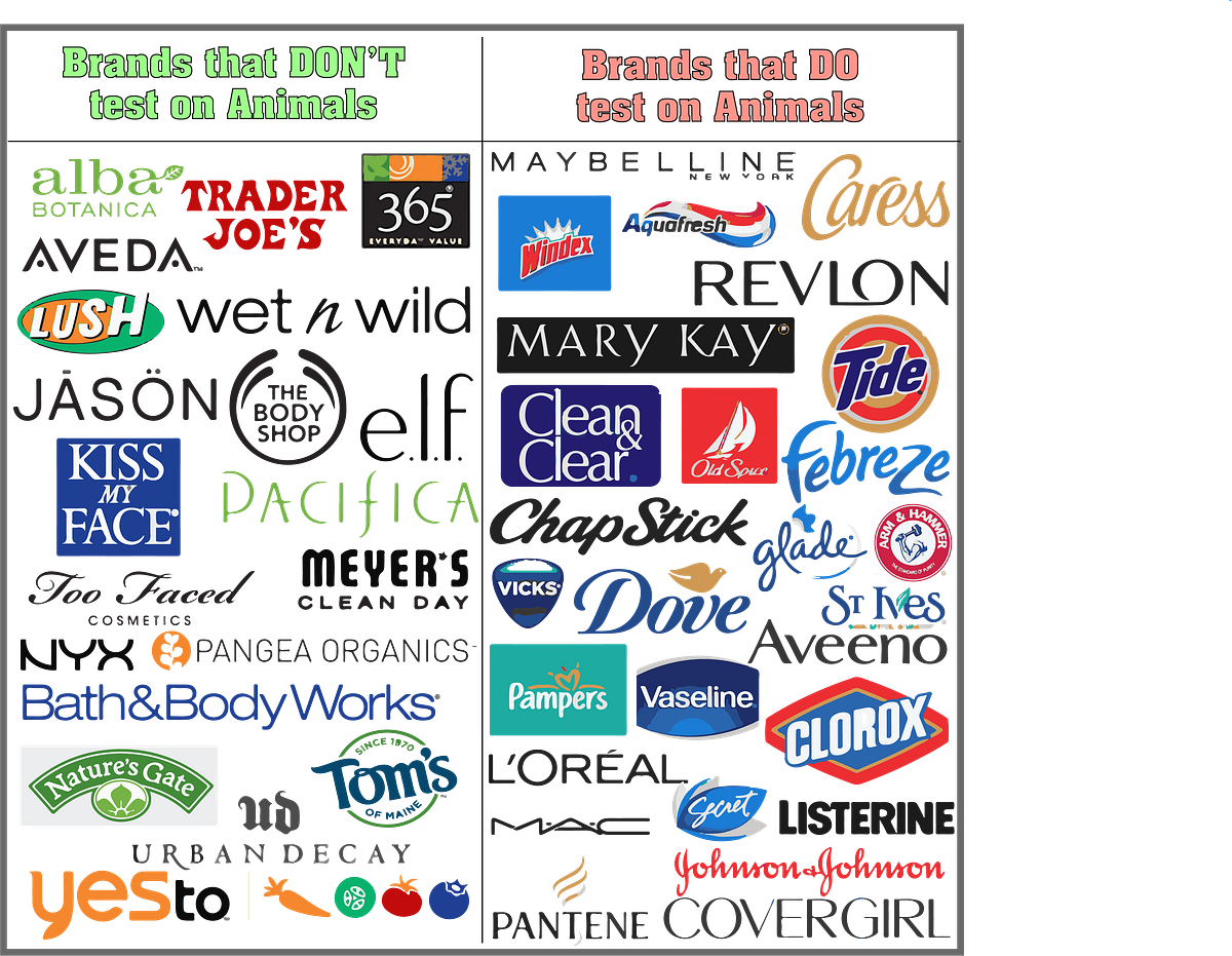 The Neglect of Ethical Purchasing and the Harm it Brings | by bailey ...