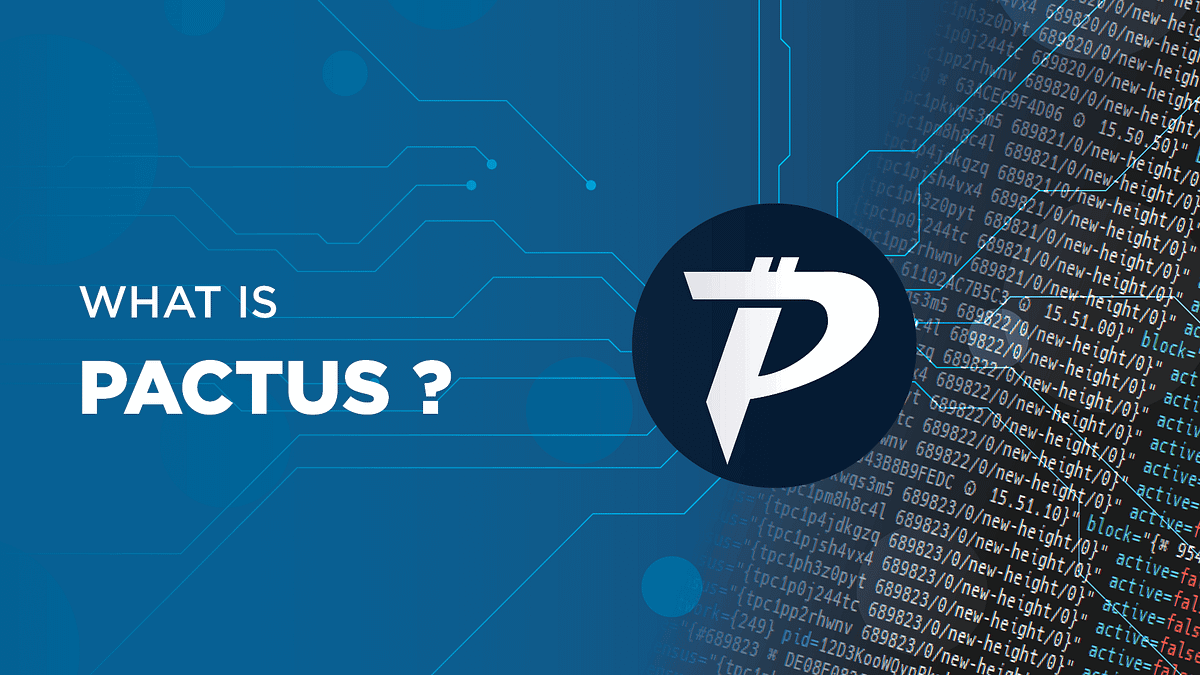 Exploring Data Serialization: Pactus’ Methods Unveiled | by Muiliucau ...