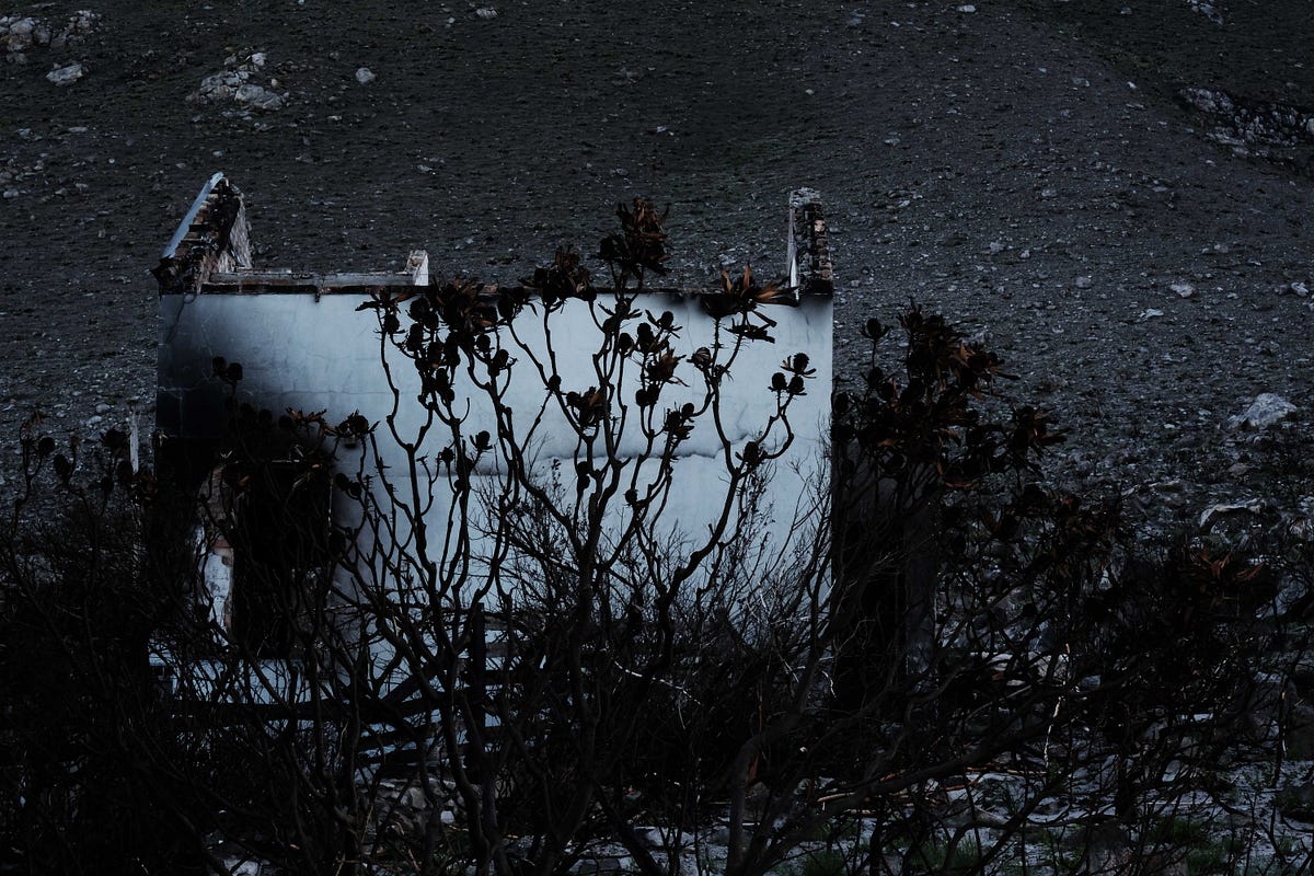 Poetry | Scott. Words by Ariana Smit and image by… | by Ja. magazine ...