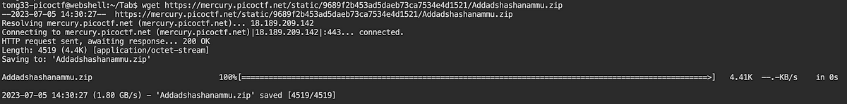 0705 pico ctf ( Tab, Tab, Attack) - tong - Medium