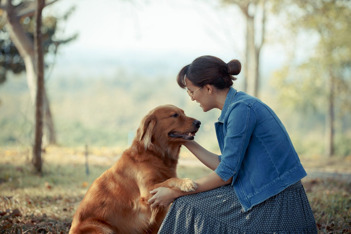 Talk to Your Dog: Decoding Barks with 5 Apps. | by AI Ninja | Medium