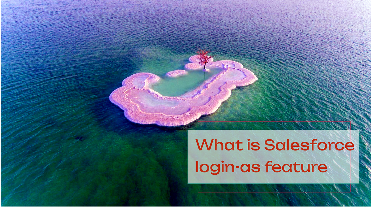 What is Salesforce login-as feature | by Idan Bliech | Medium