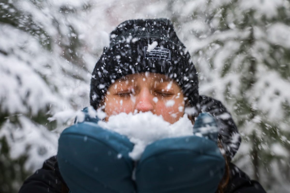 SNOWFALL ️🩸 ️. (Cooling tempers… wiping clean…blood… | by Demme | Write ...