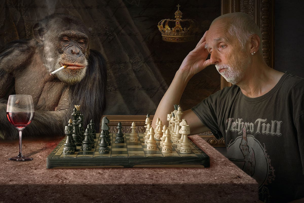 2 Ways to Tell If You’re a Highly Evolved Human | by Michelle Loucadoux ...