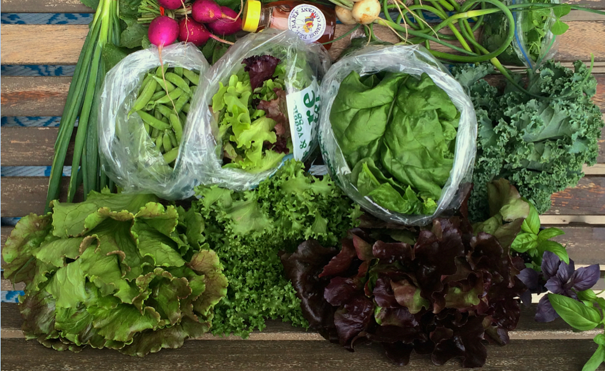 Community Supported Agriculture. By Denise Cusack | by Denise Cusack ...