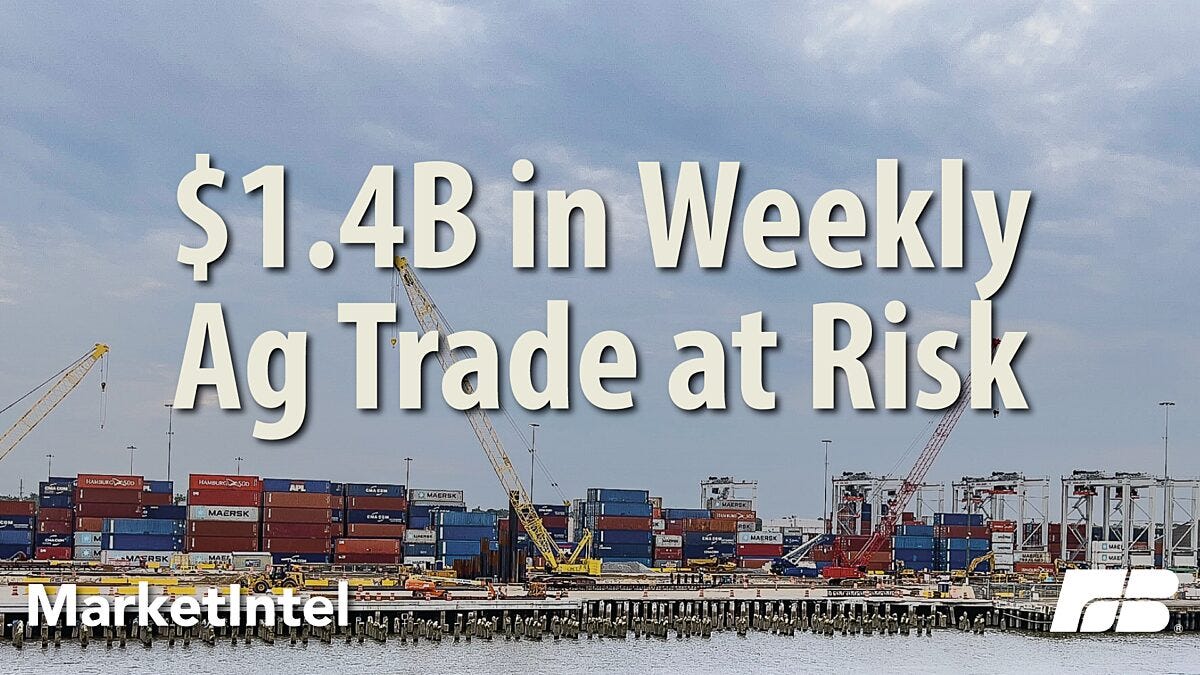 The Port Strike: How It Will Impact Everyday People | by Gavyn Potter ...