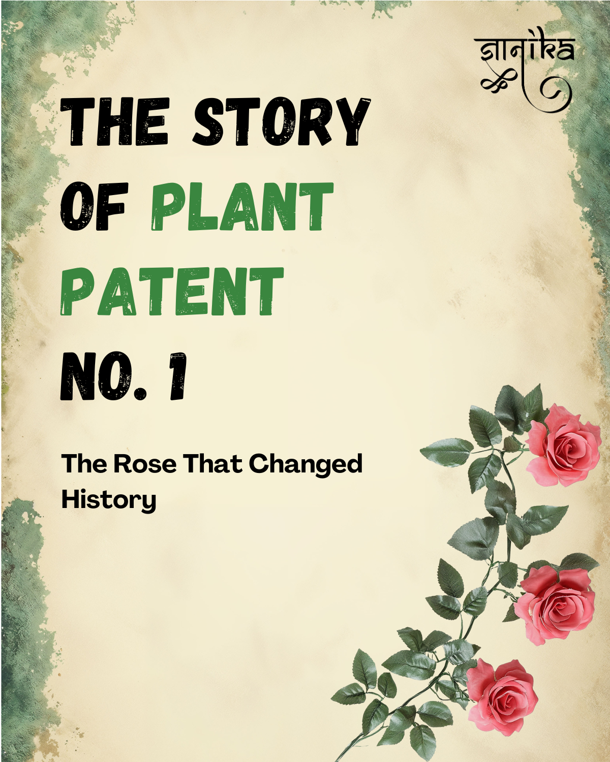 Yes, You Can Patent a Plant — Here’s How (and Why You Should) | by ...