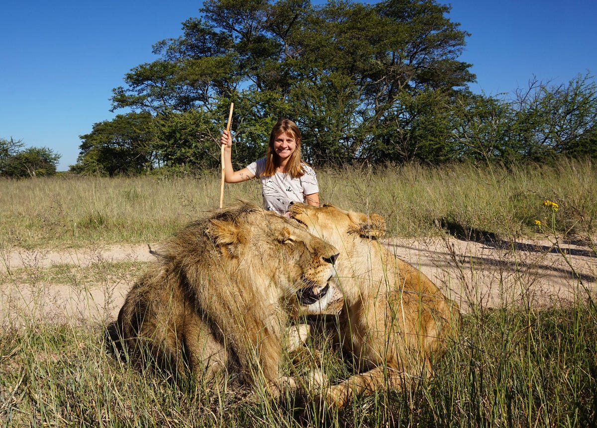 Zimbabwe — where things get wild. Zimbabwe is a very curious country ...