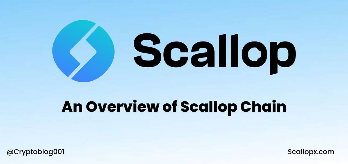An Overview of Scallop Chain. Scallop chain is an innovative… | by ...