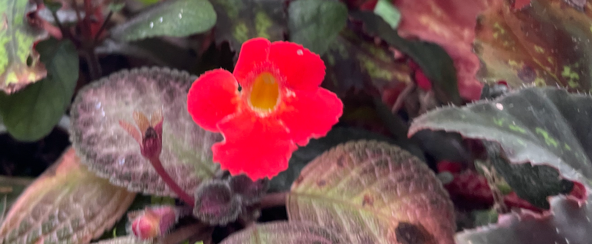 How to print query sql on SQLDelight - Stephen Lee - Medium