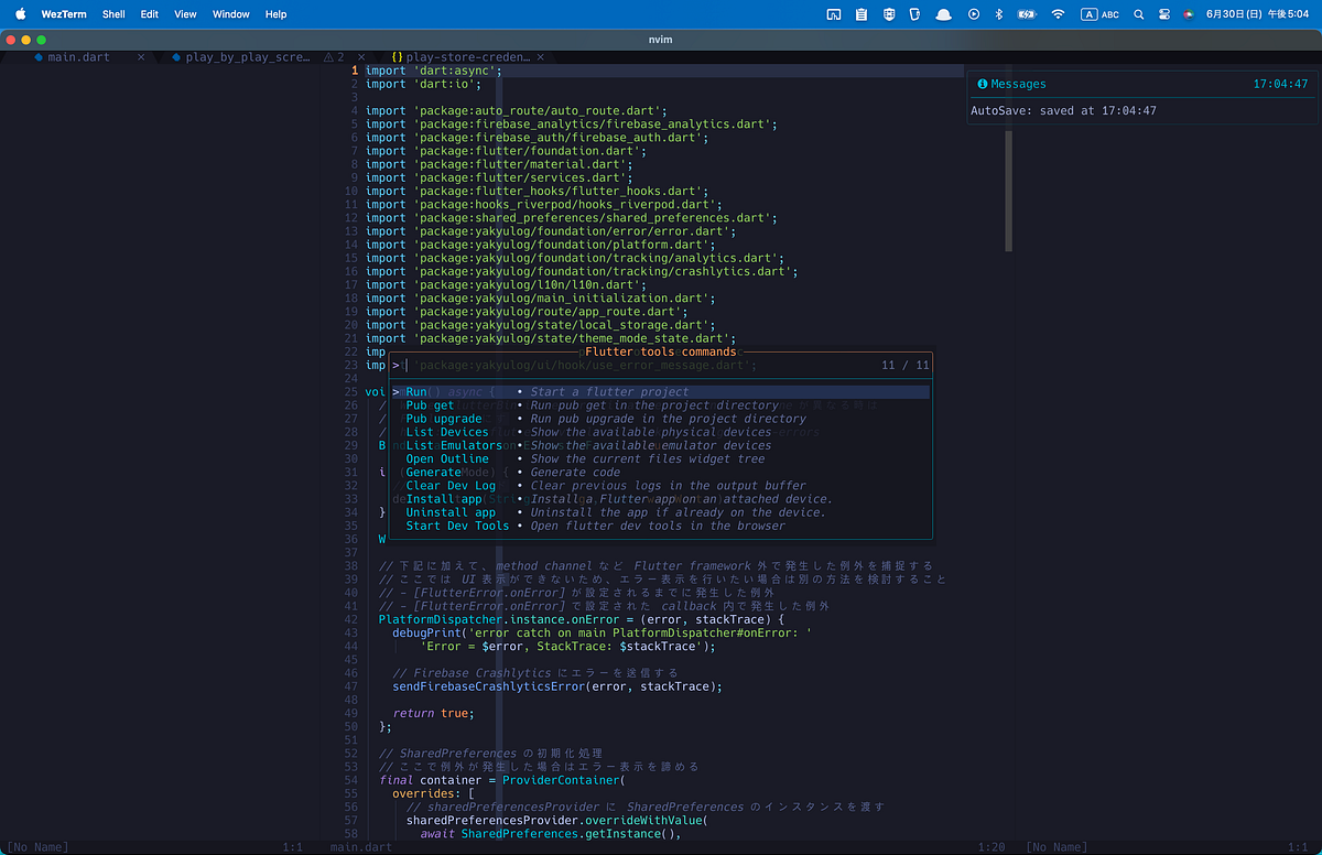 Flutter development with Neovim. This guide helps you set up and use… | by Koki Yoshida | Medium