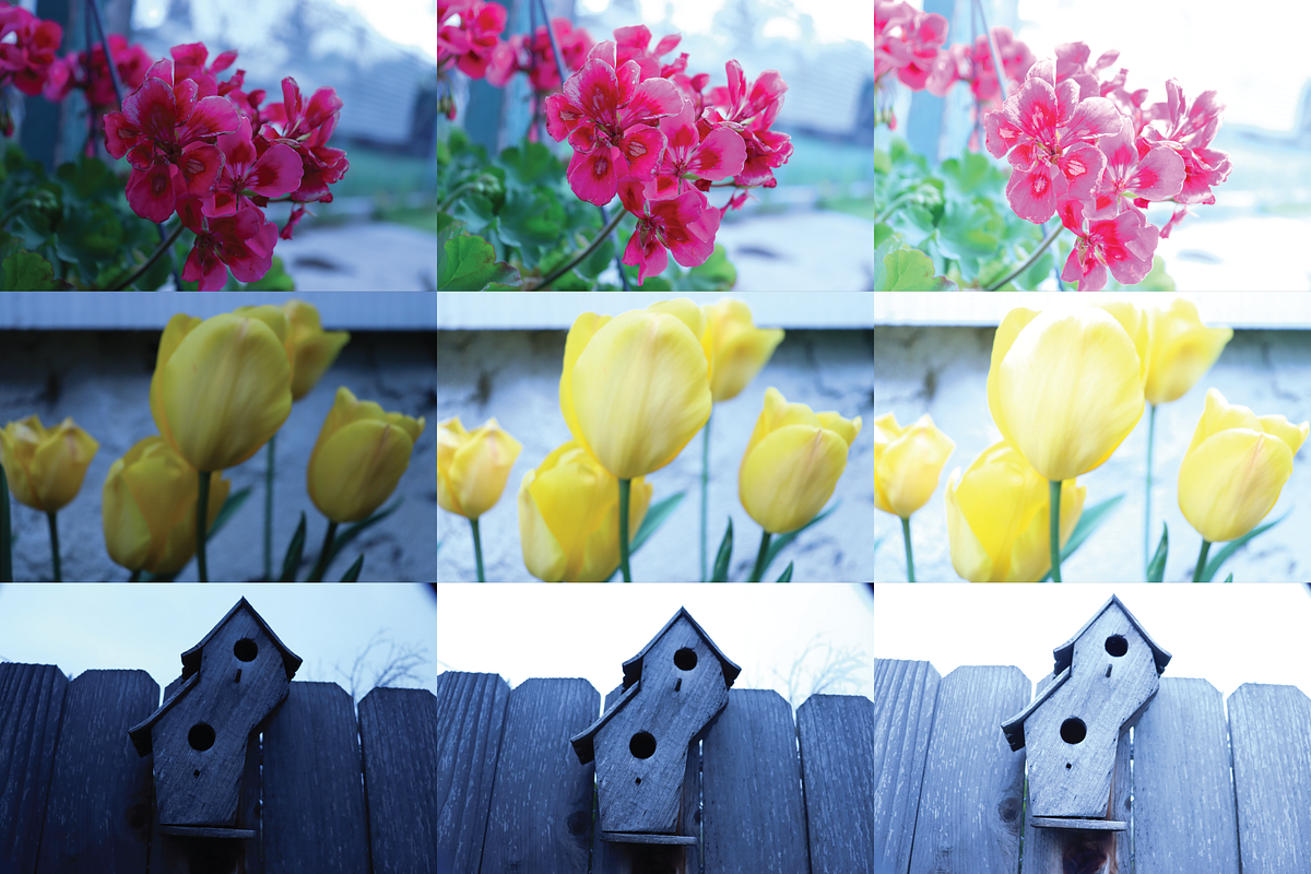 HISTOGRAMS. White Balance | by NicolaasGratama | Medium