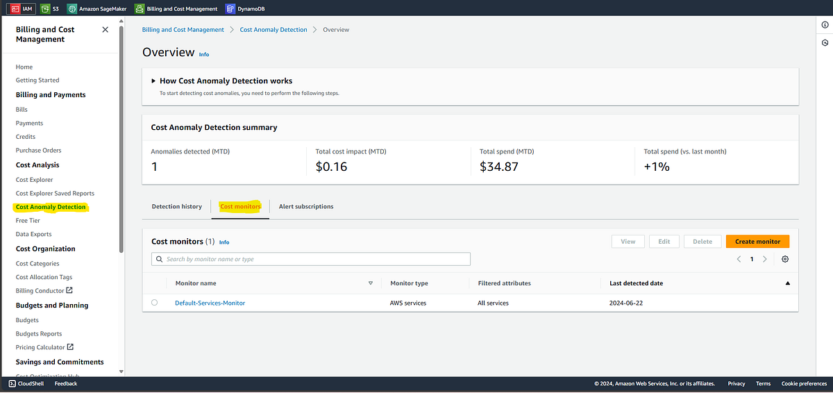 How to quickly setup Cost Anomaly Detection in AWS | by Filipe Pacheco ...