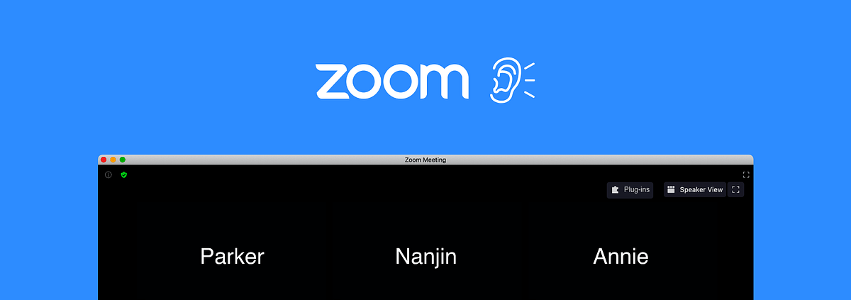 Making video calls more accessible: Zoom for people with hearing ...