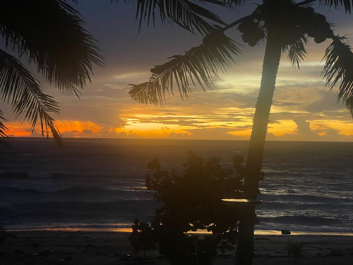 Senescence - Cam McKenzie - Medium