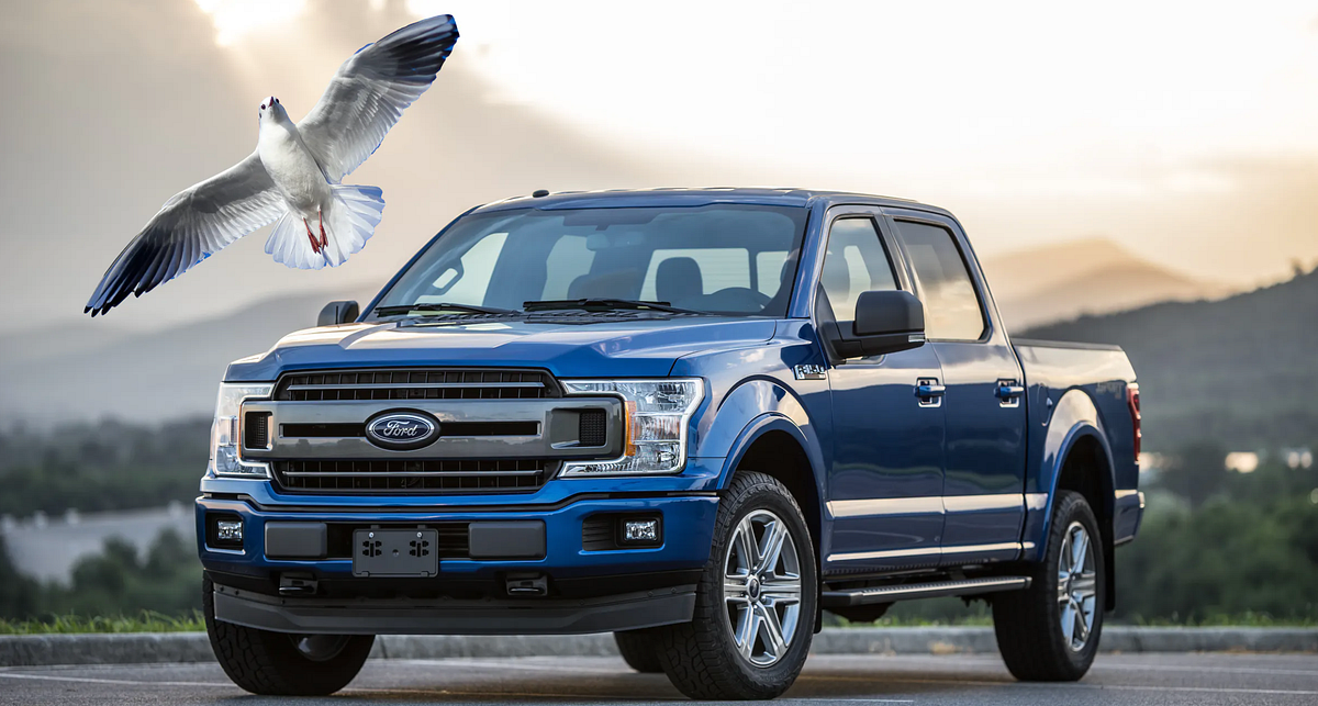 Ford has started making bird poop to test on its cars | by Ben Welham ...
