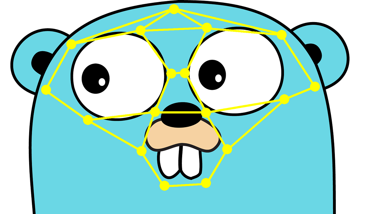 Face recognition with Go. This article tells about the process of… | by ...