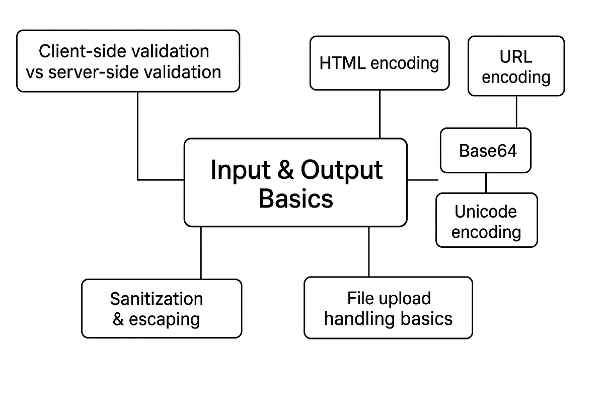 6. Master the Basics, Break the Web: Input & Output Basics | by Abinesh ...