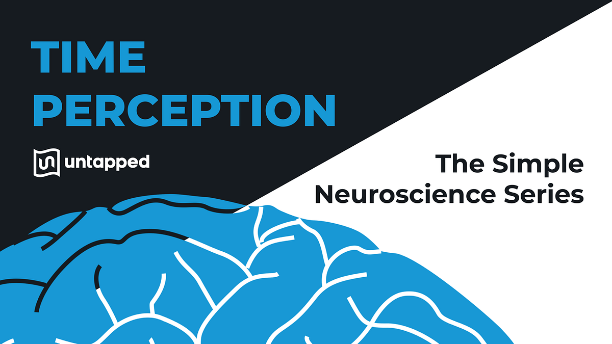 The Simple Neuroscience of Time Perception | by Natalie Wilcox ...