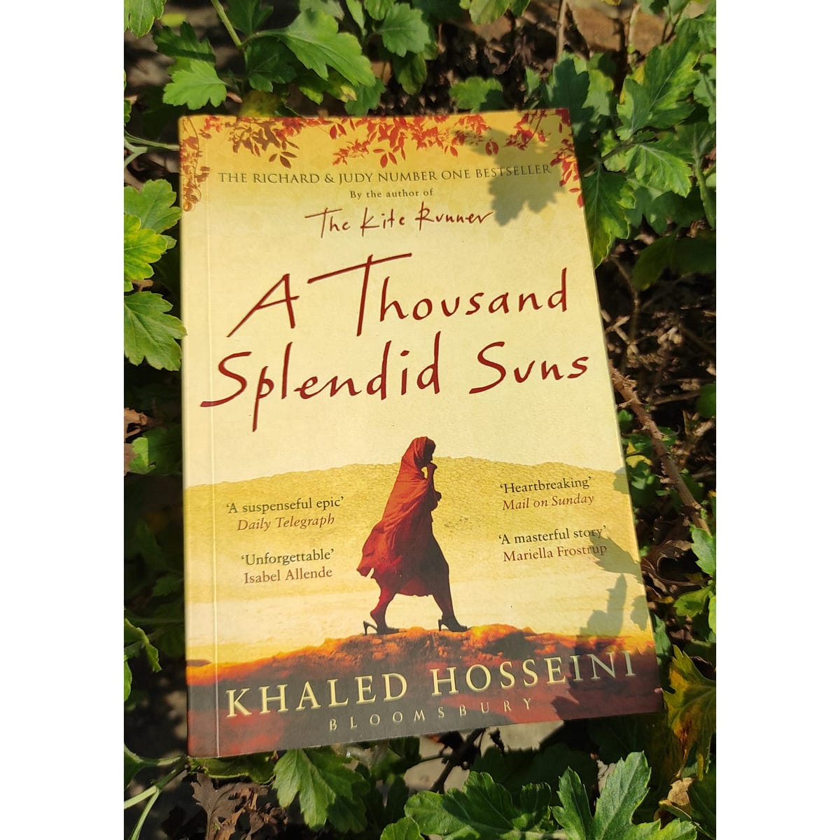 “A Thousand Splendid Suns” penned by Khaled Hosseini, unambiguously one ...