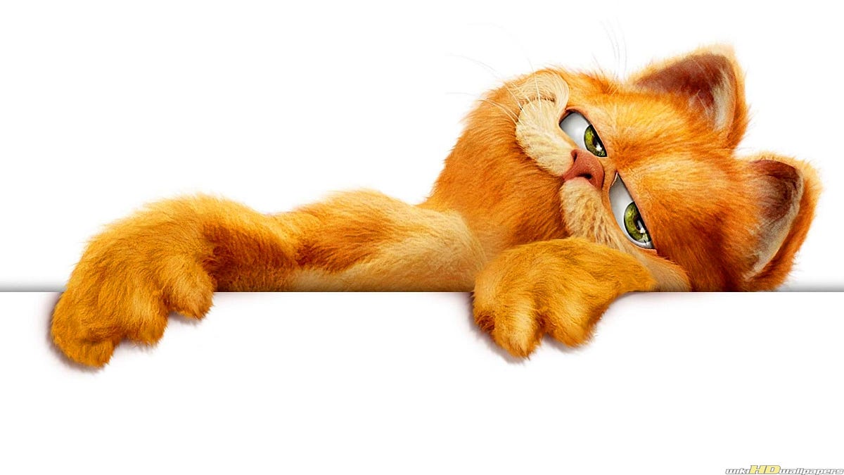 Week 2: My spirit animal ? Garfield. | by Anila Achankunju | Medium