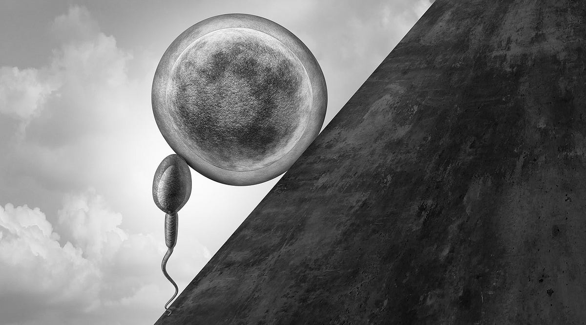 What Lies Beneath Infertility. What Lies Beneath Fertility | by Jan ...