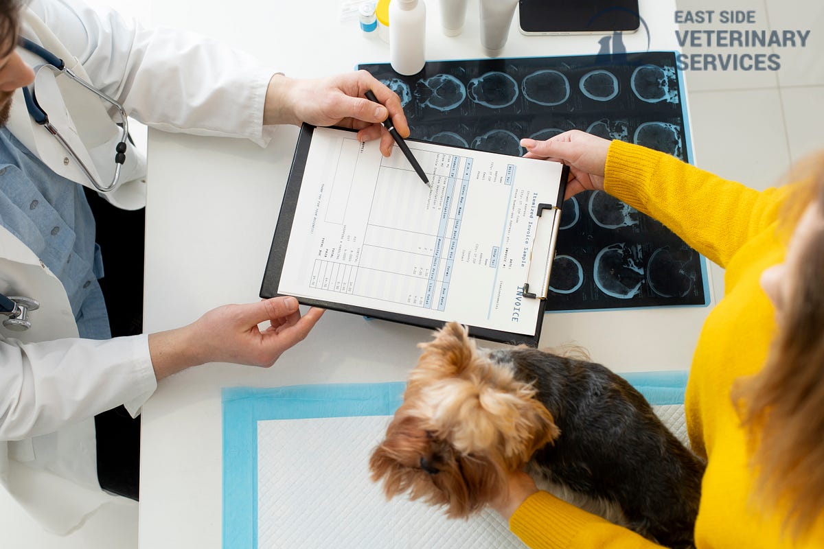 Importance of Annual Exams for your pets | by ...