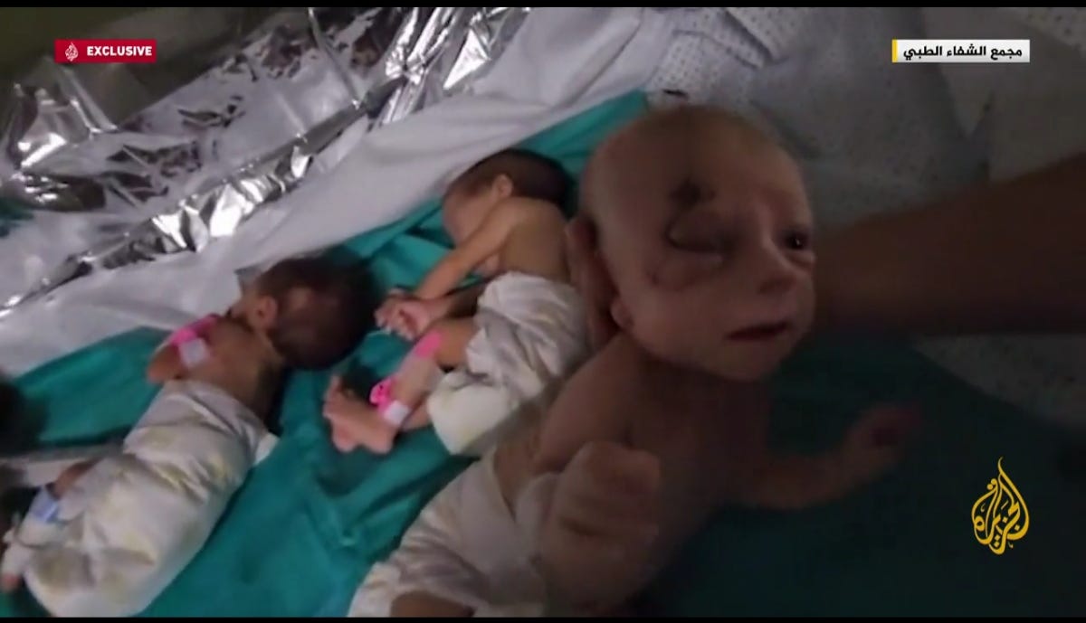 Why are people being wiped out in Gaza? | by Abdelrahman Mohamed | Medium