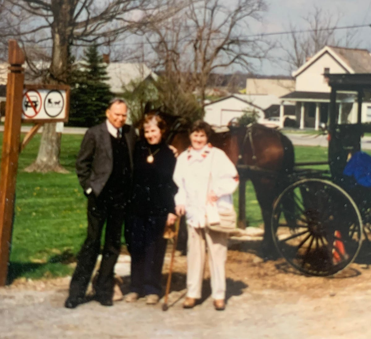 What Happens When We Die? A Memory of Mom | by Louisa Scott | Crow’s ...