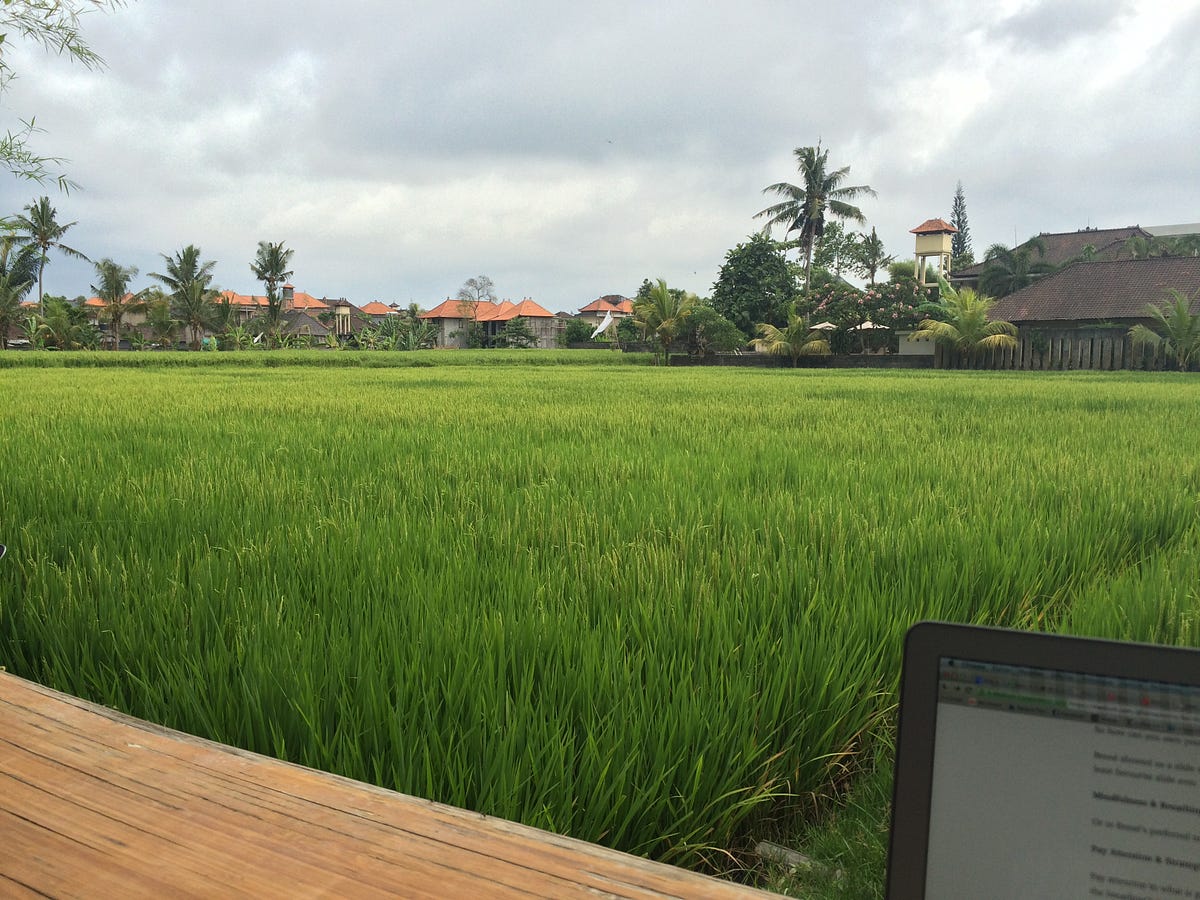 What a first week of co-working and life change can look like | by ...