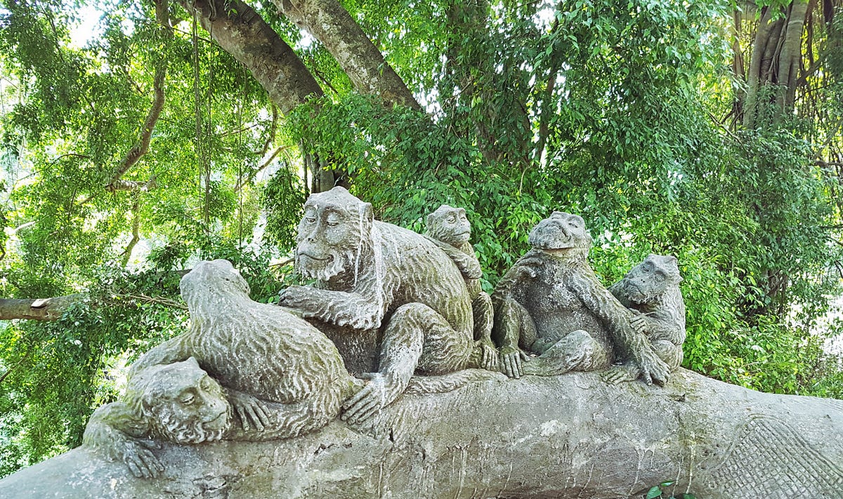Planet of the Balinese Monkeys. The Sacred Monkey Forest Sanctuary in ...