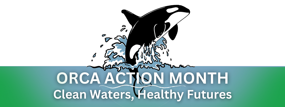Orca Action Month: Clean Waters, Healthy Futures | by The Washington ...