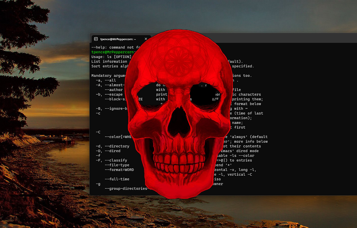 Commands to AVOID in Your CLI. Opening a Command Line Interface (CLI ...