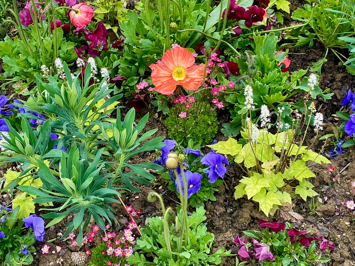 Don’t Miss the Flowers of Paris. After visiting the monuments and… | by ...
