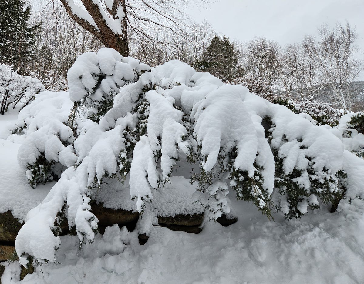 Winter Weather Update: 2022–23 Season in New England, the Northeast ...