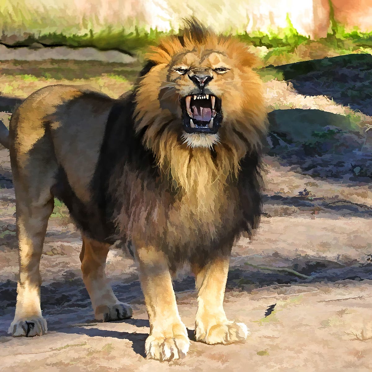 Lionheart. you can a lion imprison, take in the… | by Simon Butscher ...